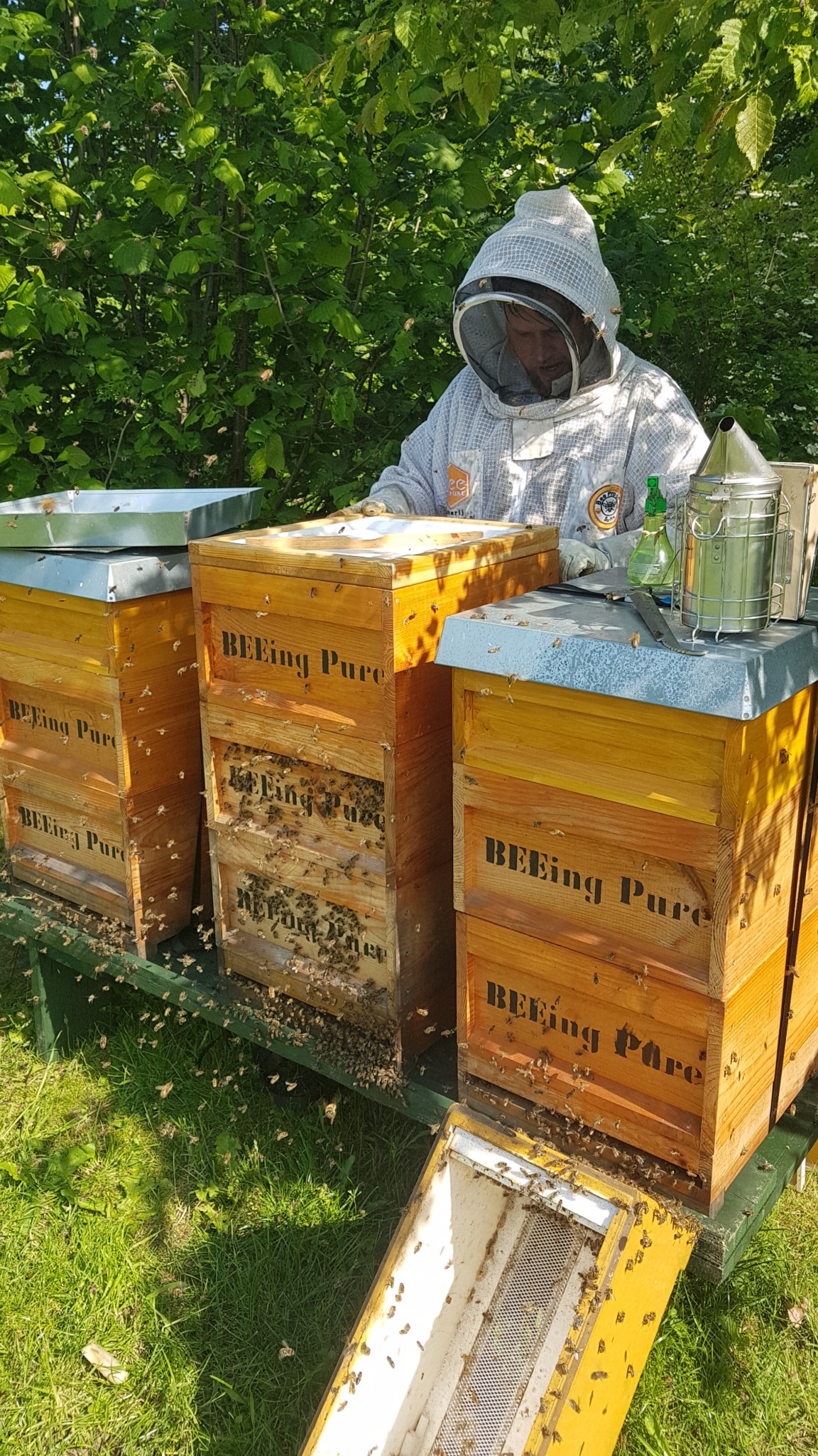 BEEing Pure | BEEing Pure